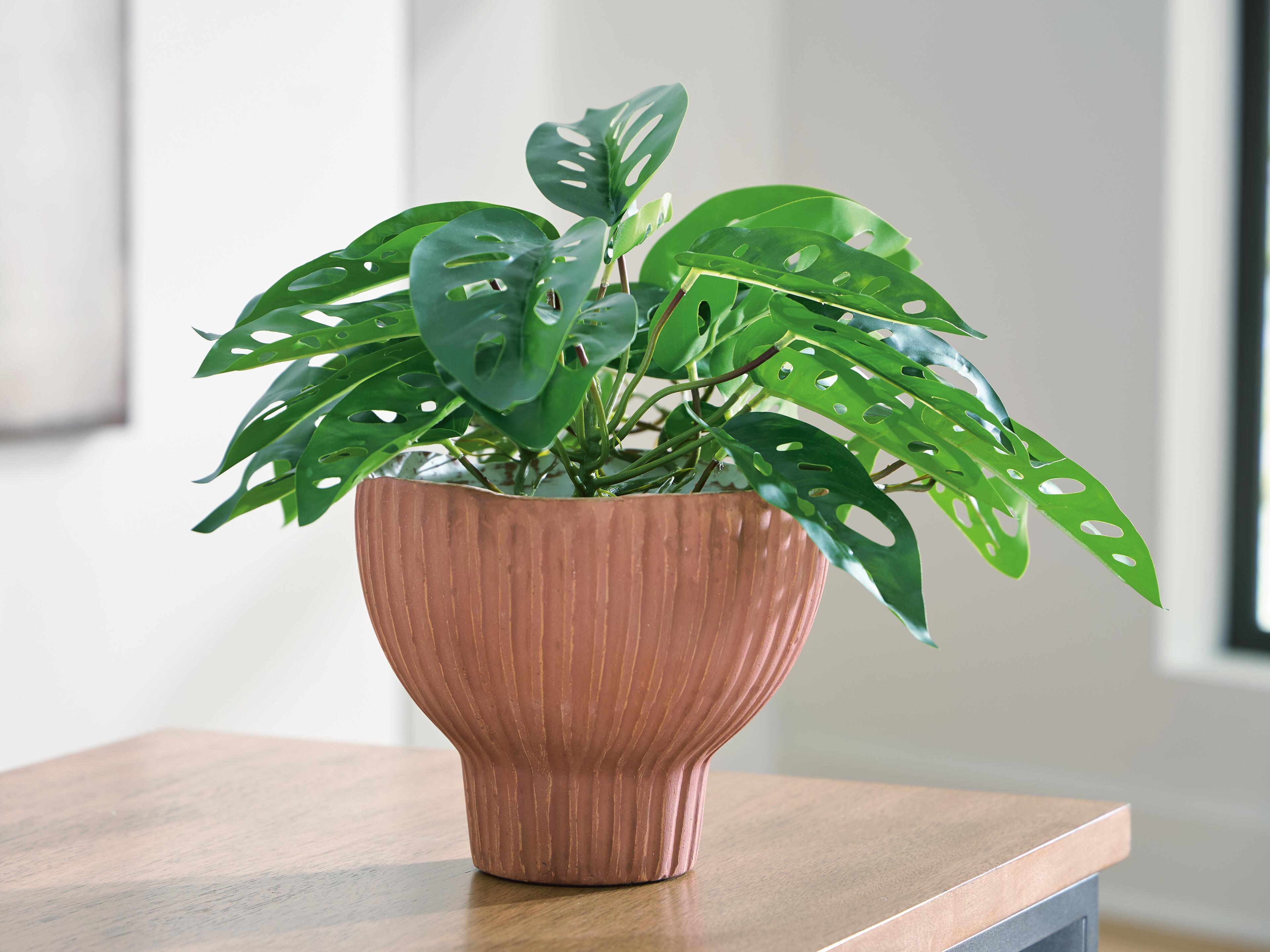 Click here for Orban Vase  Sienna/White prices