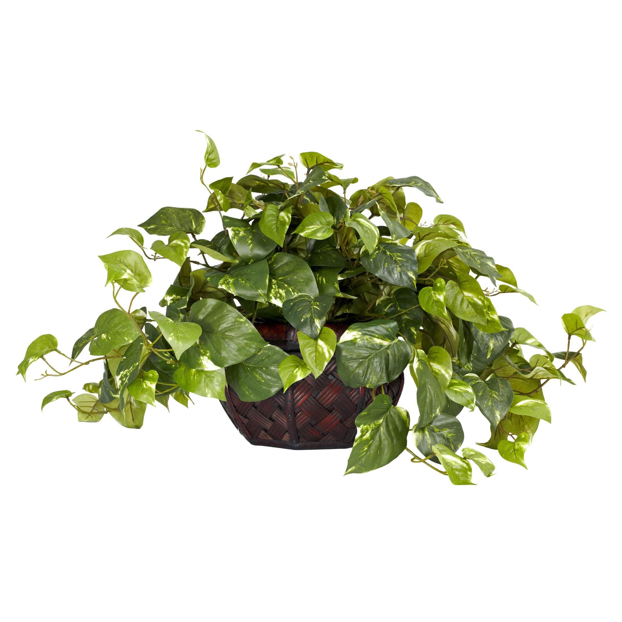 Click here for Pothos with Decorative Vase Silk Plant  Green prices