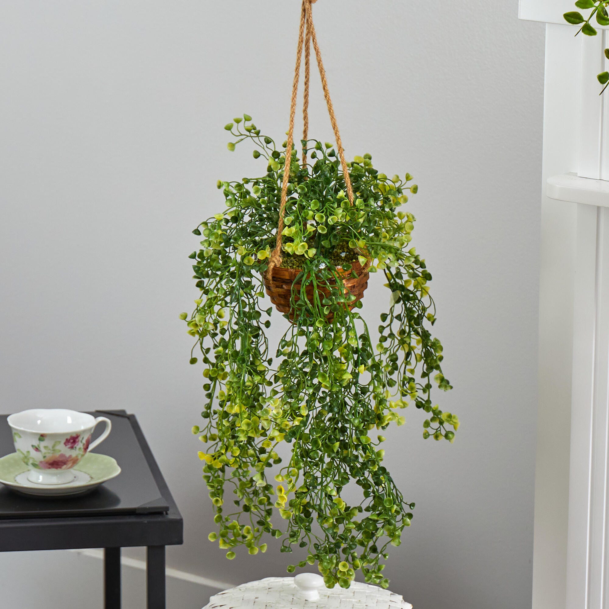 Click here for 20 Baby Tear Artificial Plant in Hanging Basket  G... prices
