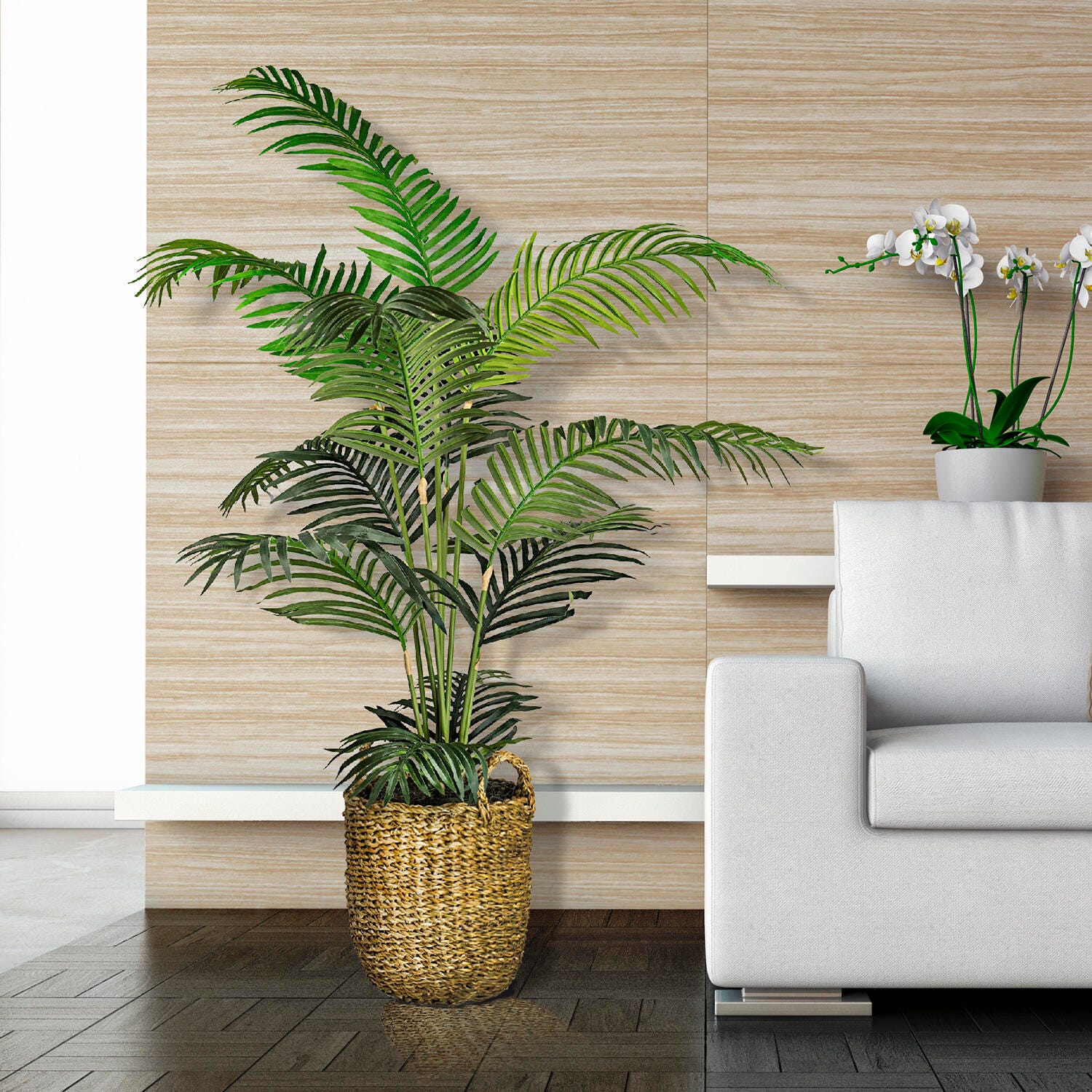 Click here for Areca Palm Tree in a Basket  Green prices