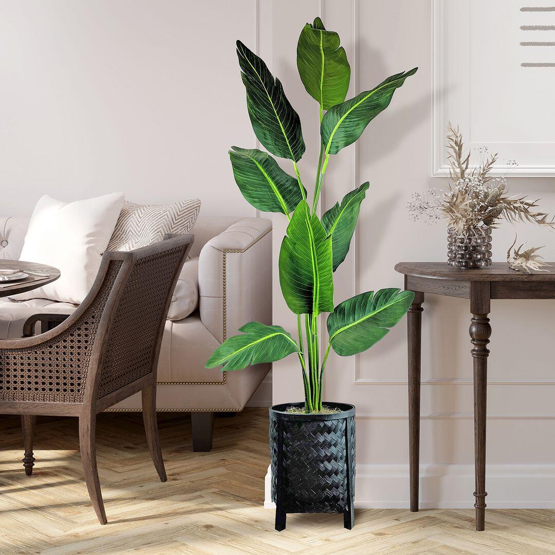 Click here for LCG Florals 5 Bird of Paradise in Woven Footed Bas... prices