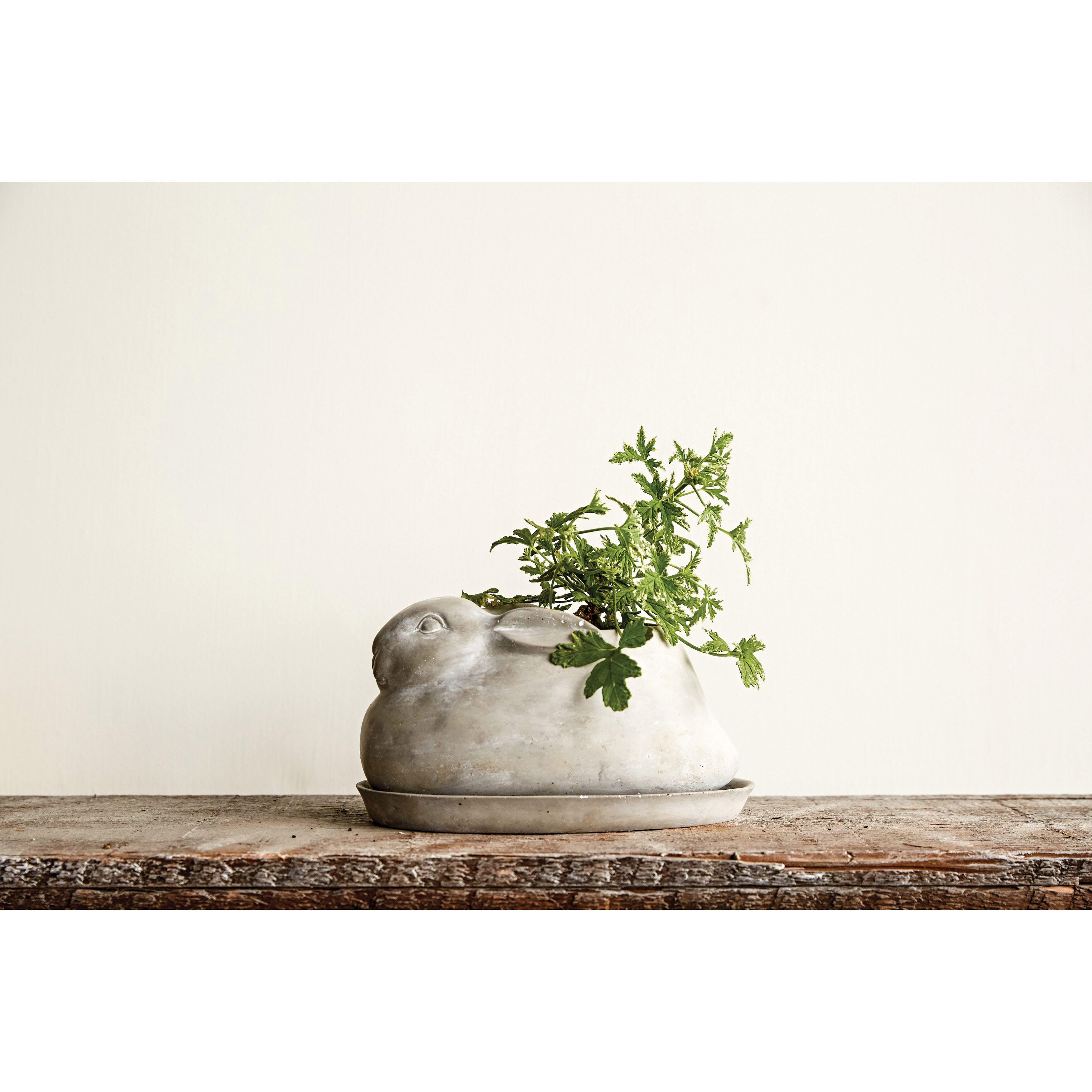 Click here for Storied Home Rustic Rabbit Planter with Saucer Set... prices
