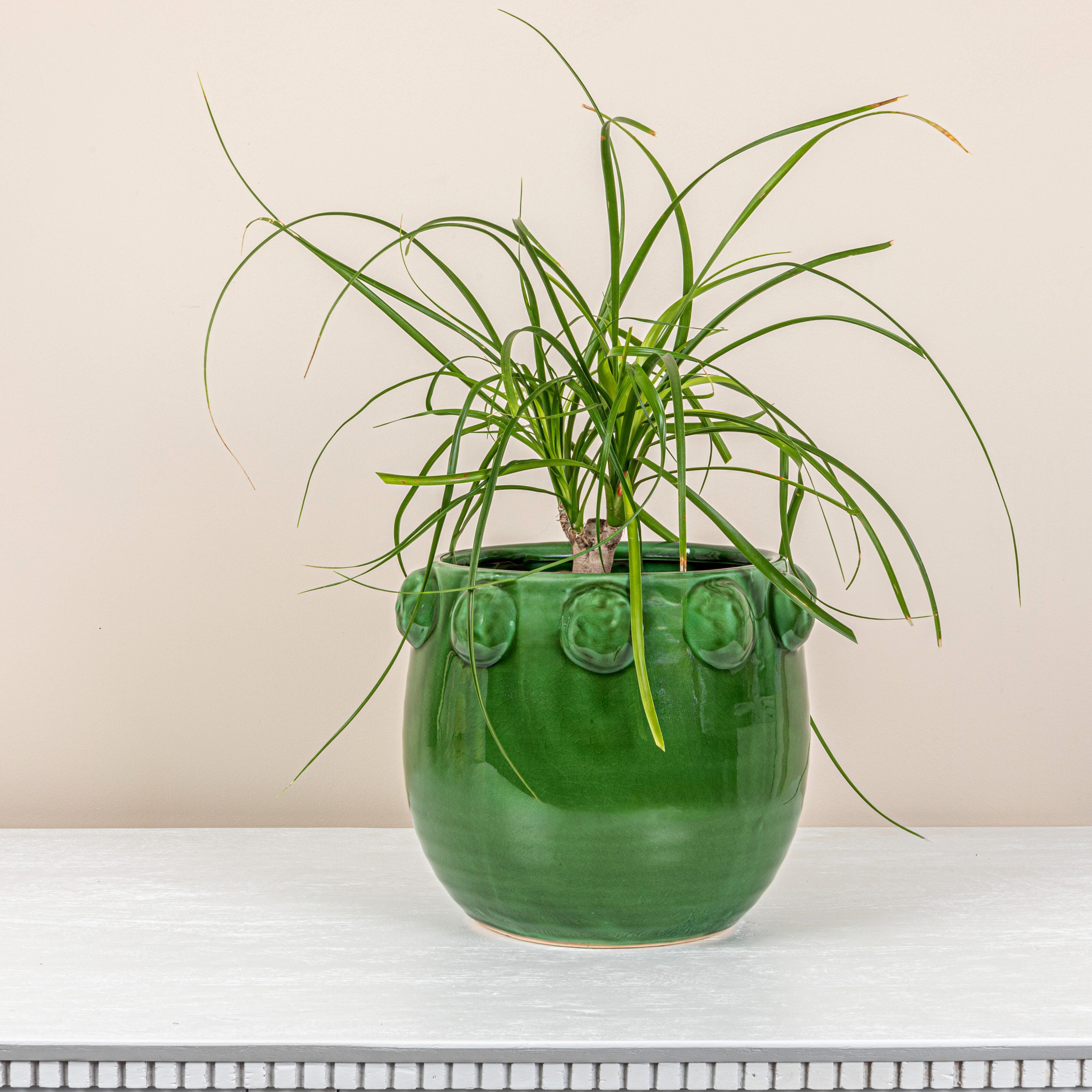 Click here for Storied Home Terra-cotta Planter with Raised Dots... prices