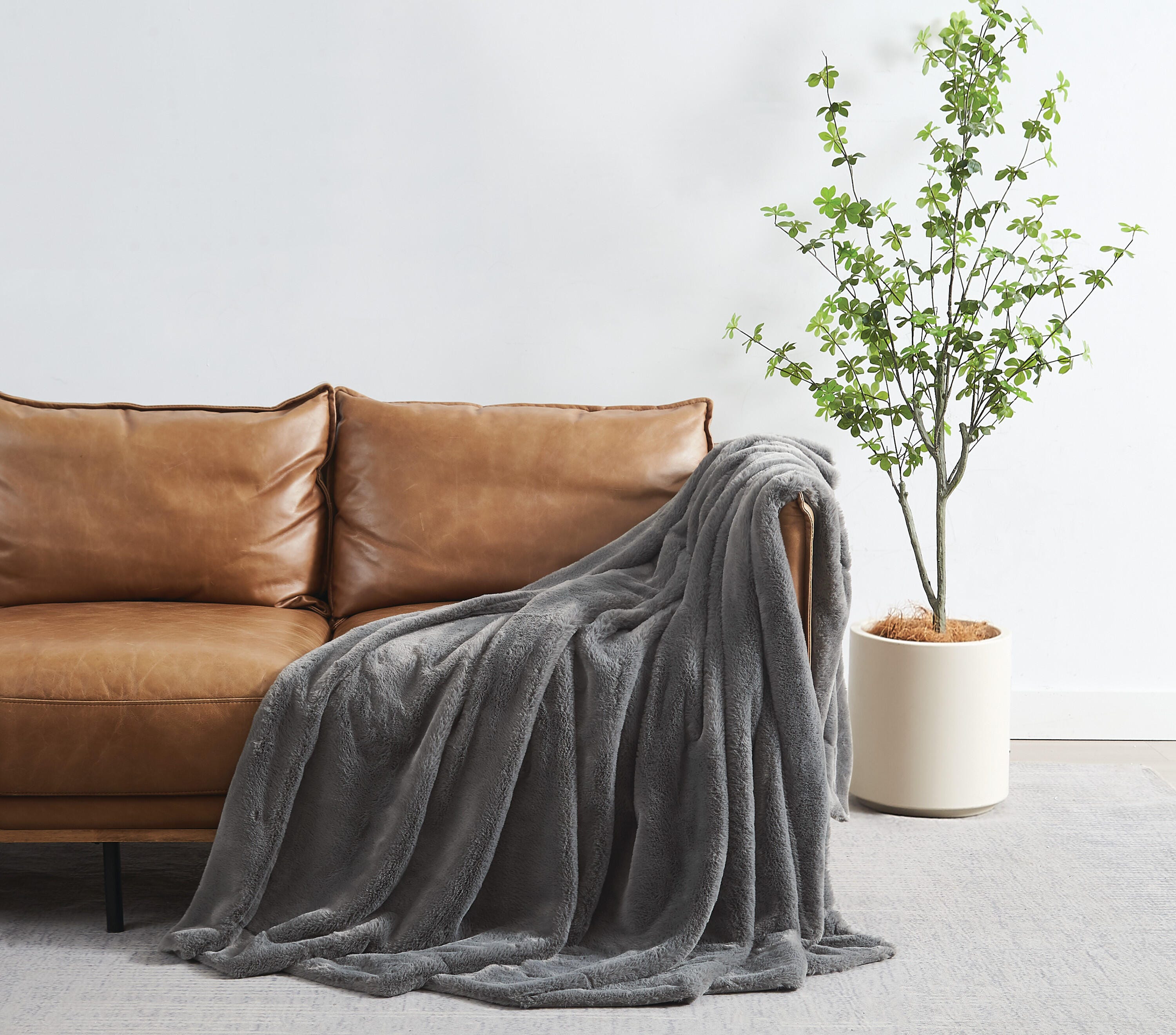 Click here for Royal Velvet Solid Throw  Gray prices