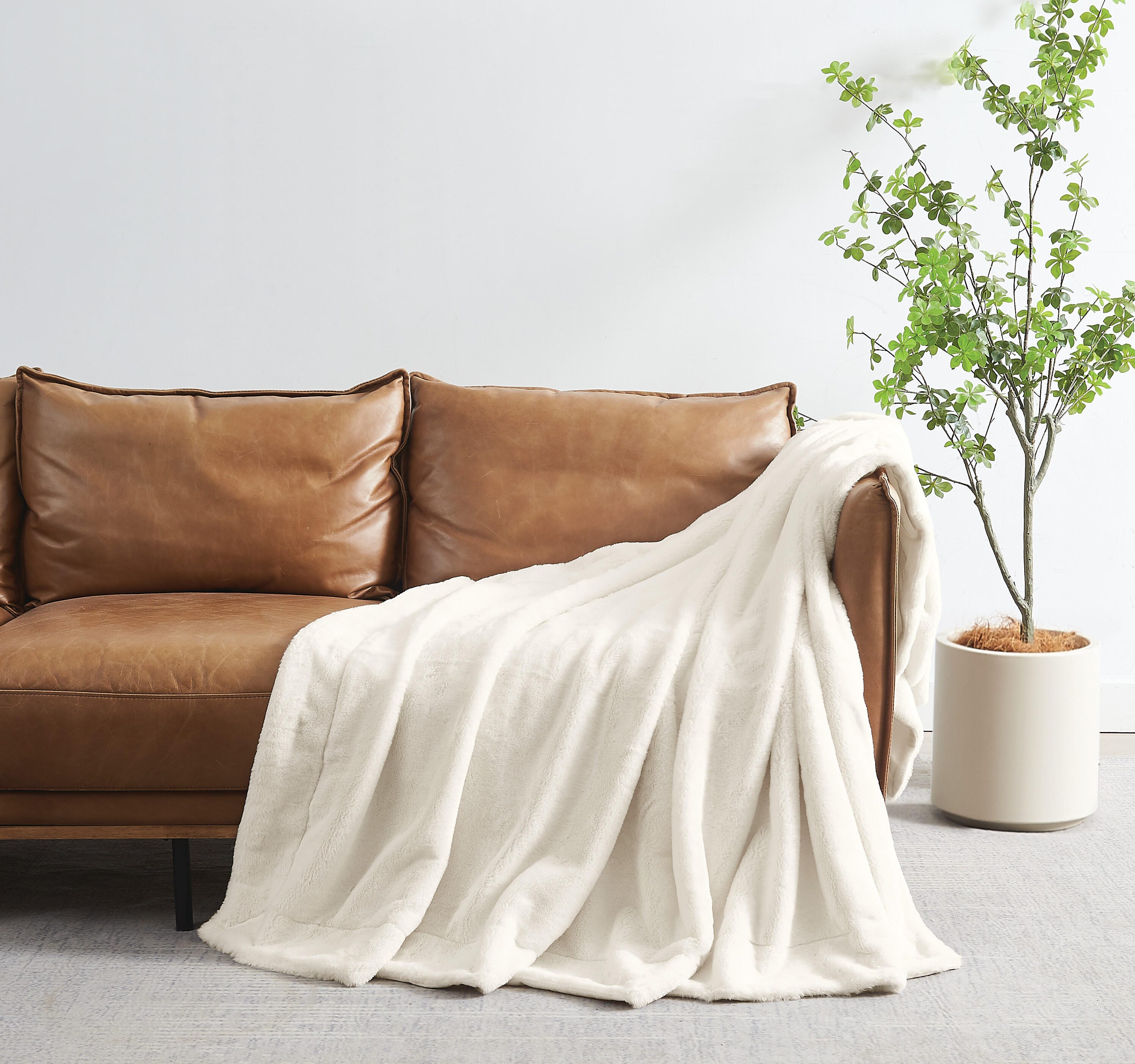 Click here for Royal Velvet Solid Throw  Ivory prices