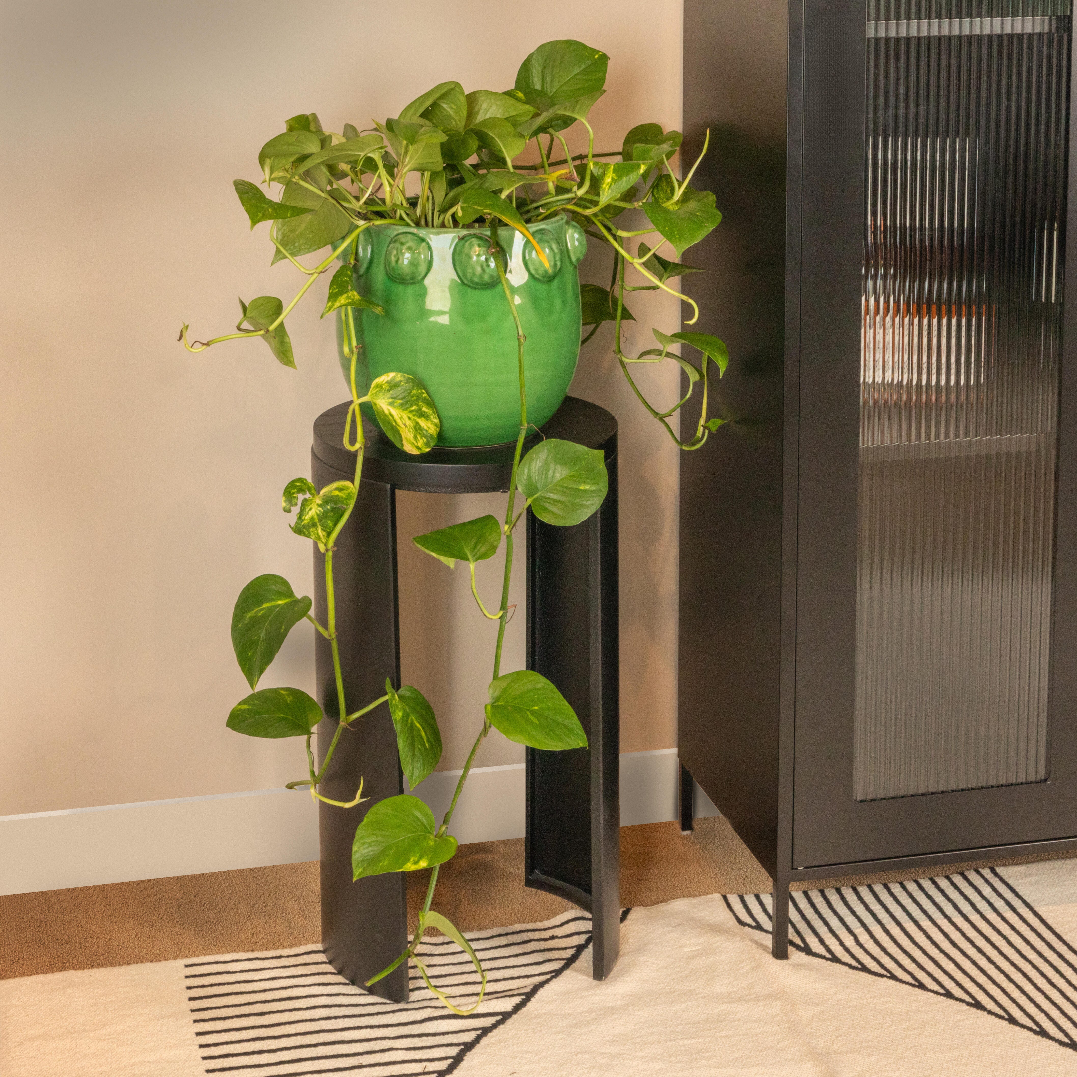 Click here for Storied Home 13 End Table  Black prices