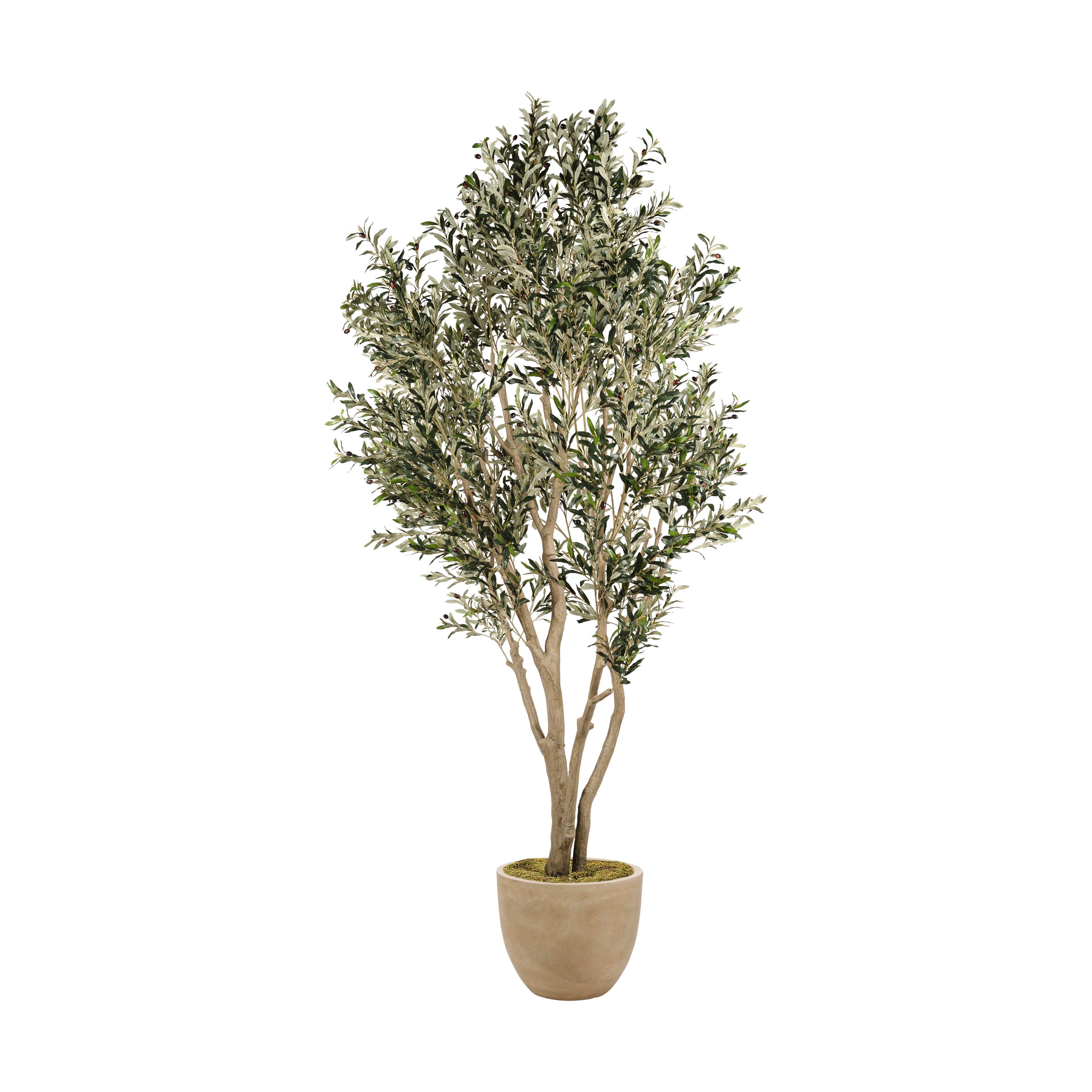 Click here for Ashley Luxe Faux Olive Tree 10 prices
