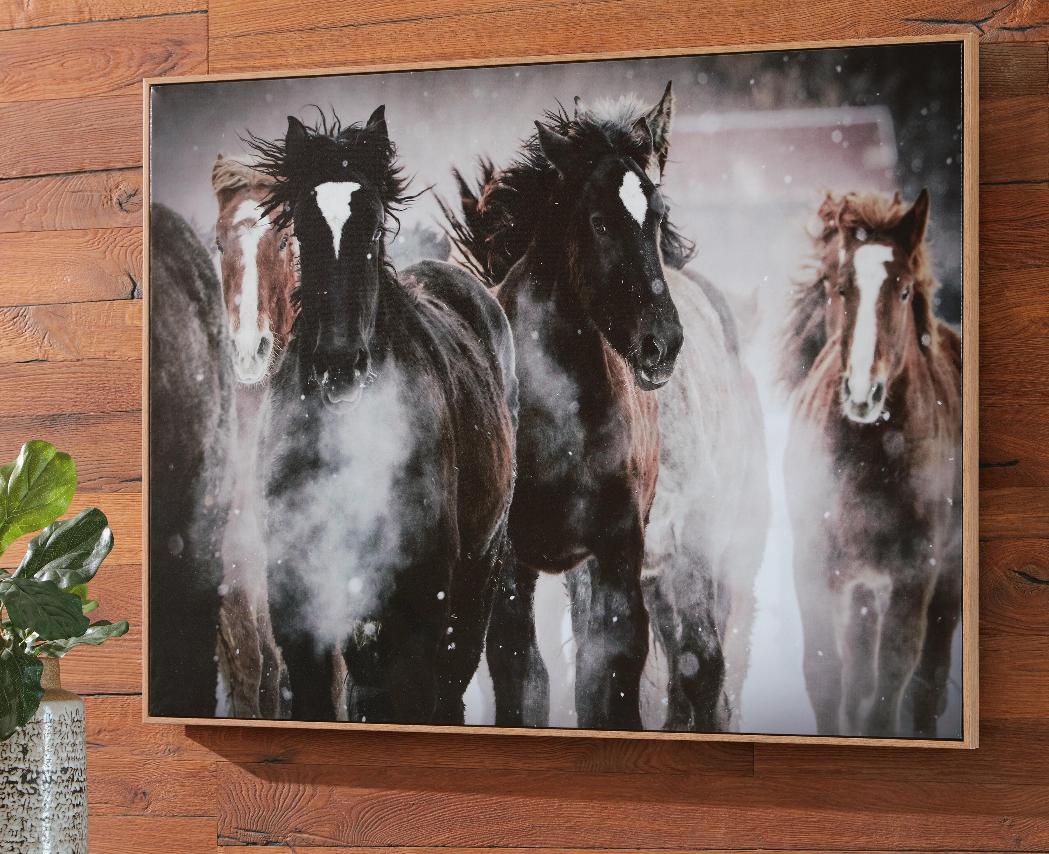 Click here for Chaseburn Horse Wall Art   Brown/Black/White prices