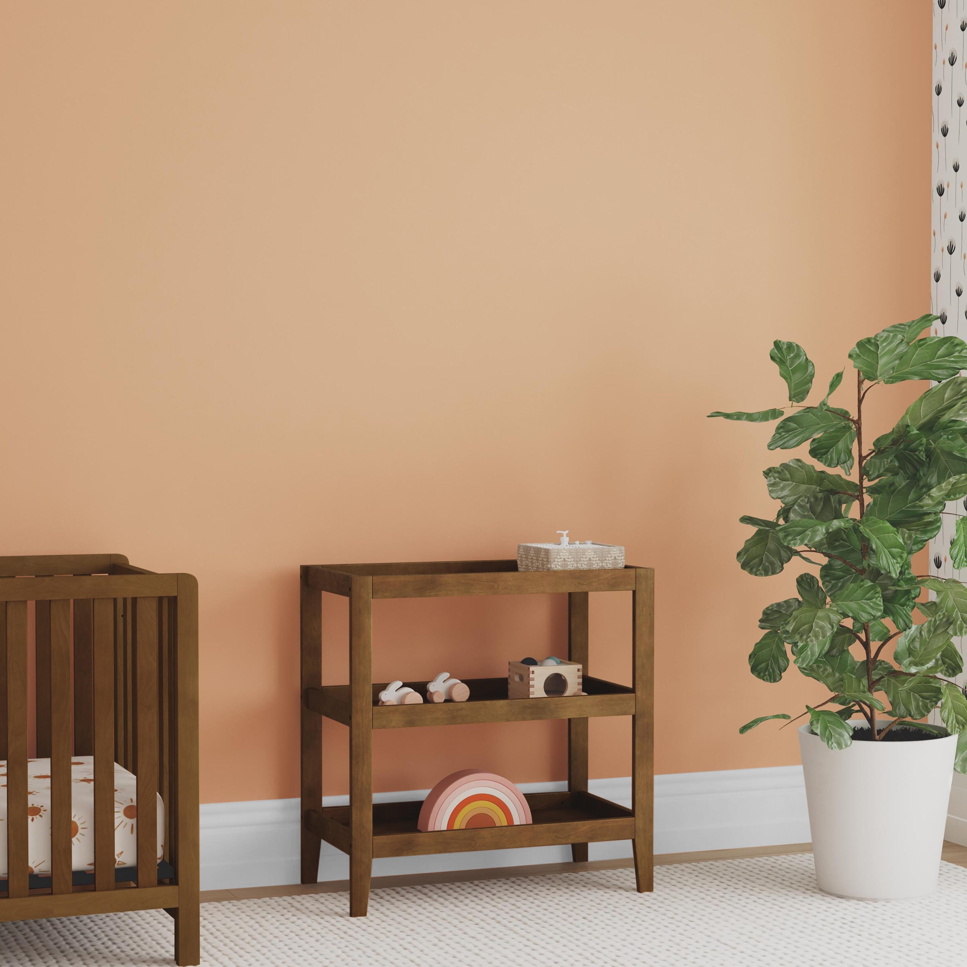 Click here for Carters Colby Changing Table  Walnut prices