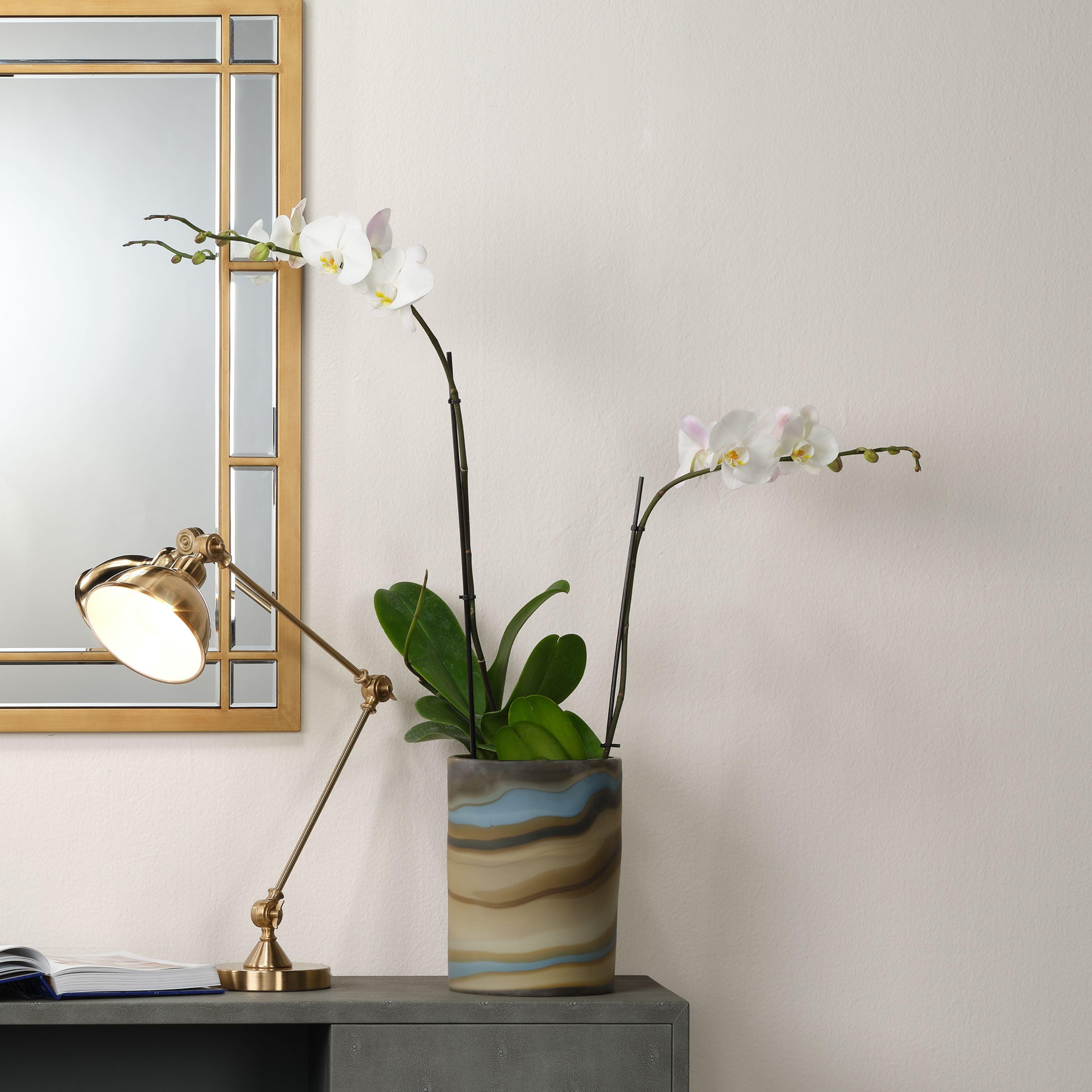 Click here for Home Accents Brass Wallace Table Lamp prices