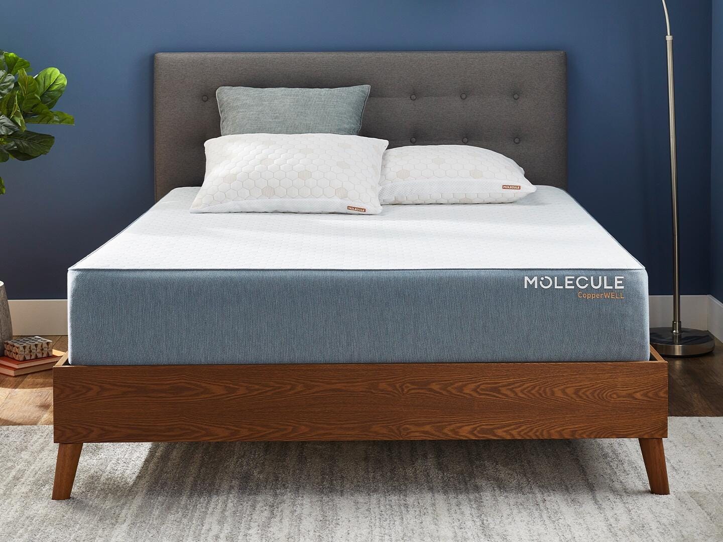 Click here for MOLECULE CopperWELL Medium Gel Memory Foam 12 Inch... prices