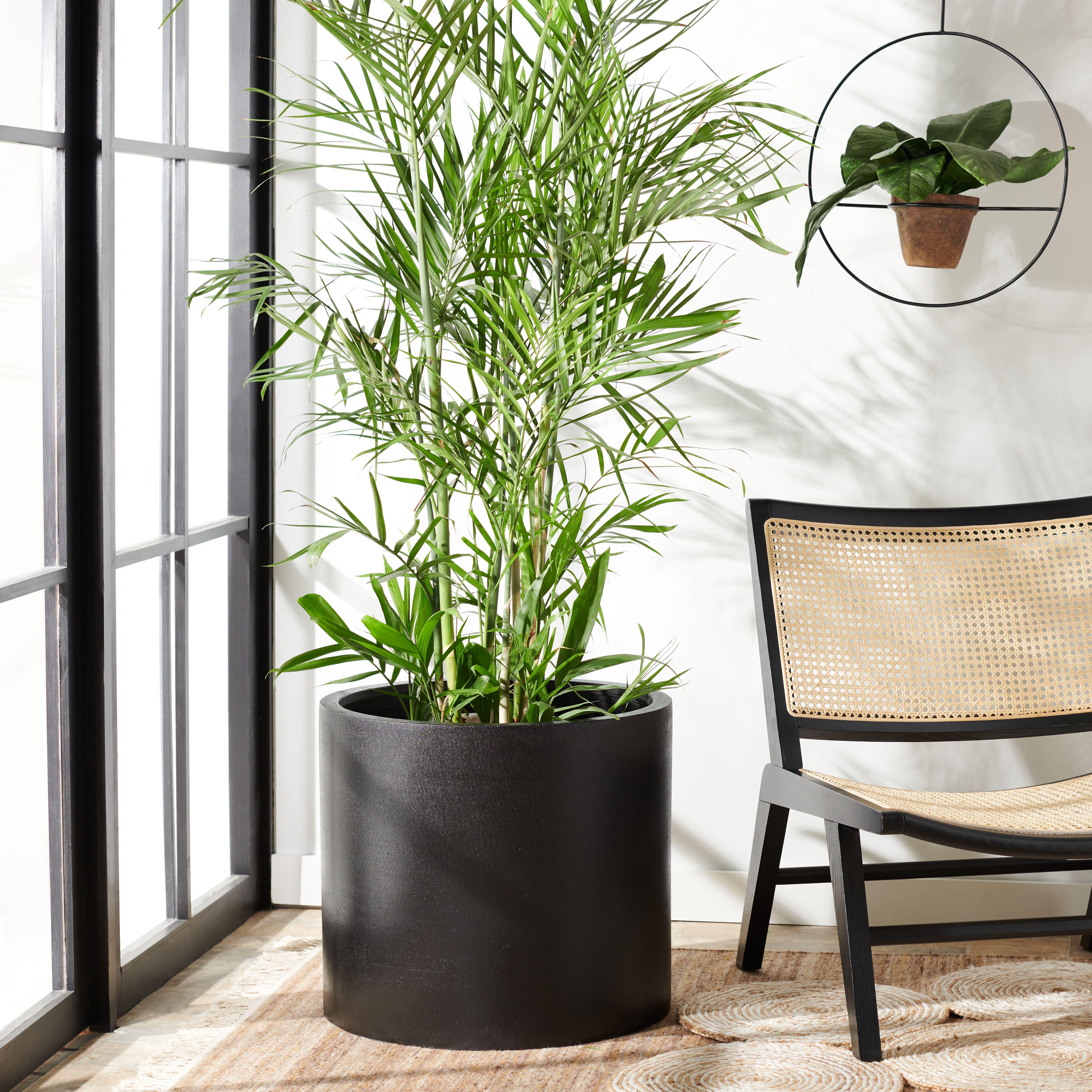 Click here for Safavieh Alia Outdoor Large Planter  Black prices