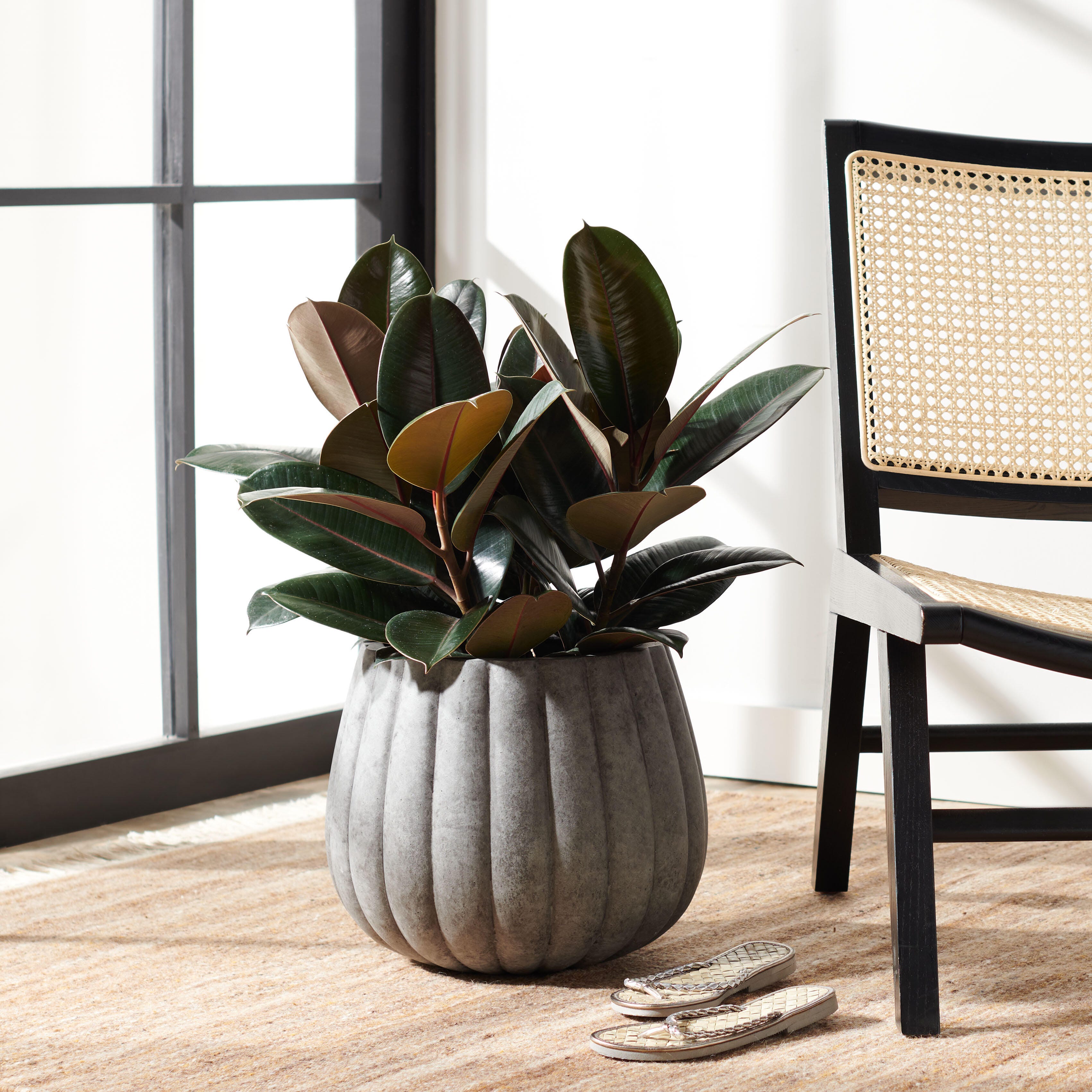 Click here for Safavieh Kaston Outdoor Planter  Gray prices