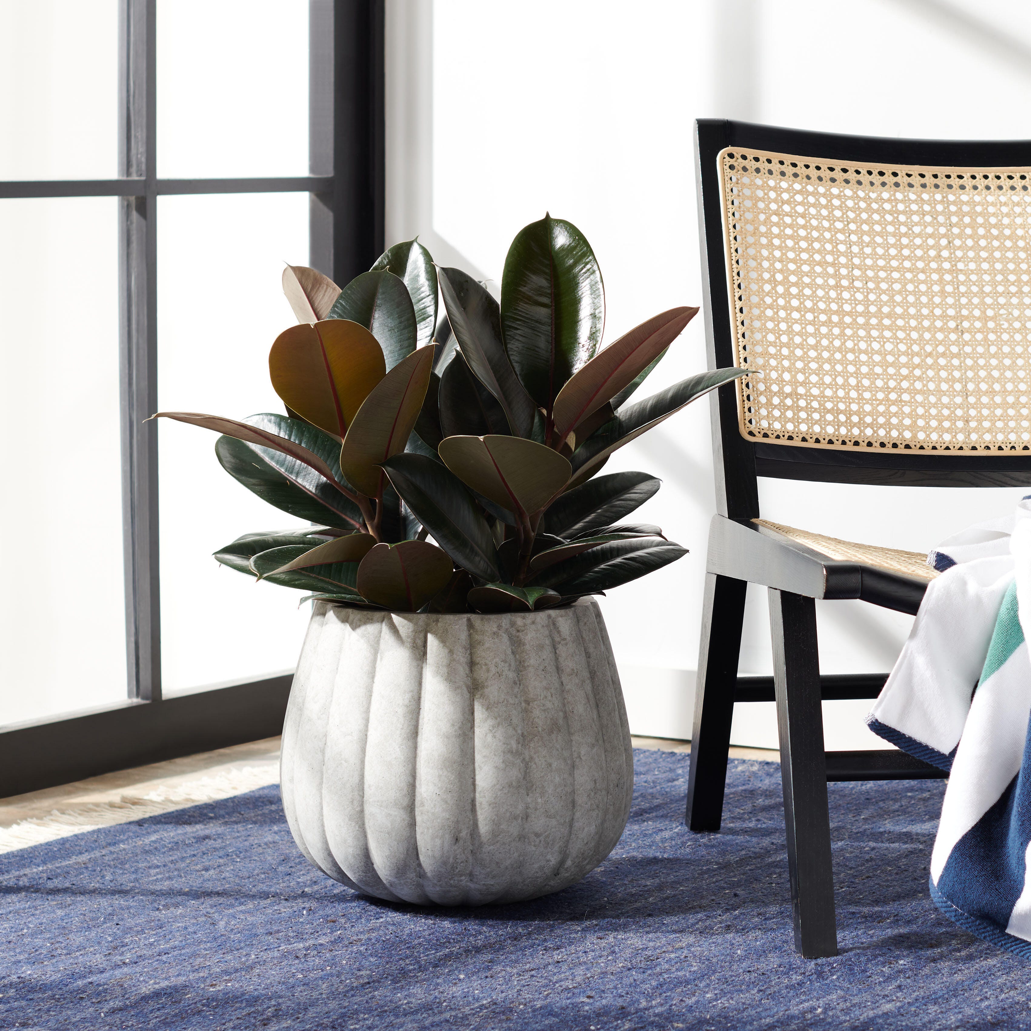 Click here for Safavieh Kaston Outdoor Planter  Light Gray prices