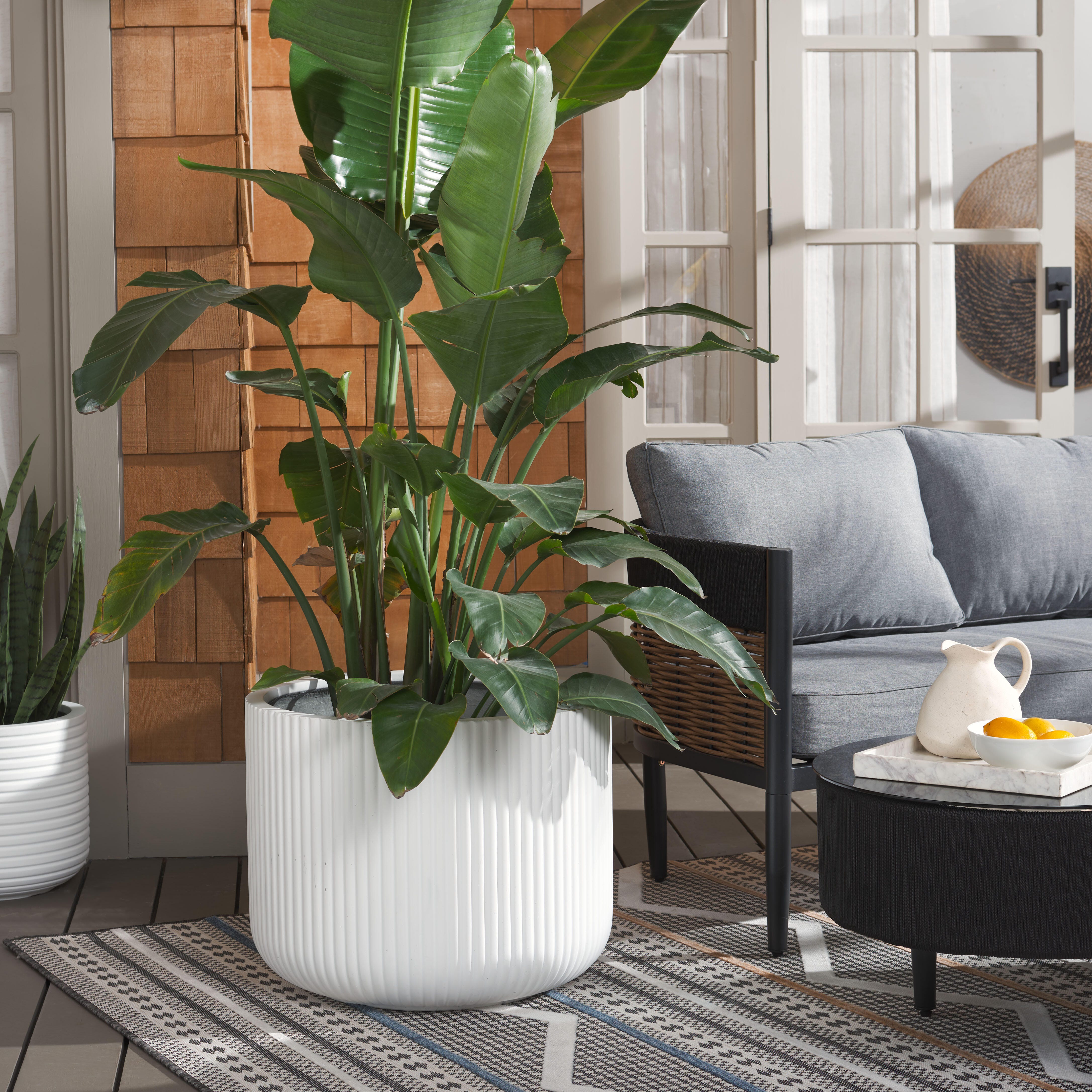 Click here for Safavieh Lucca Outdoor Large Planter  White prices