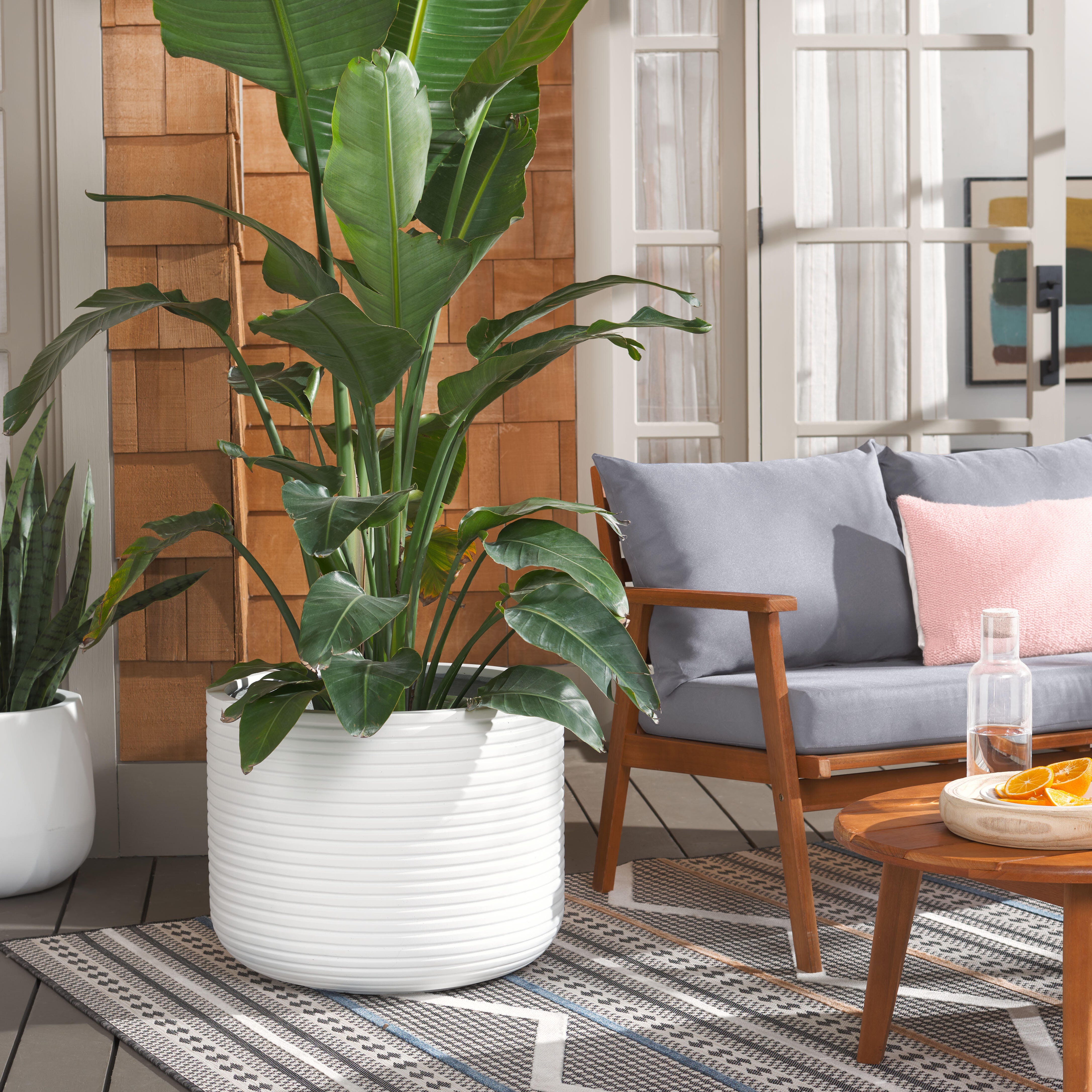 Click here for Safavieh Nardo Outdoor Large Planter  White prices