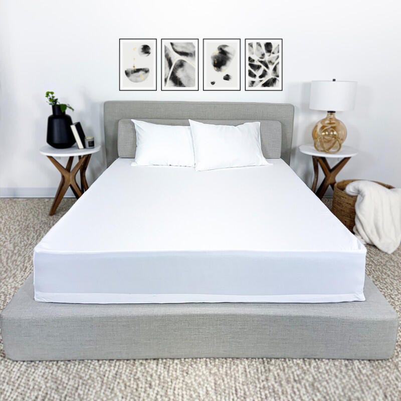 Click here for PROTECTEASE Premium Zippered Queen Mattress Encase... prices