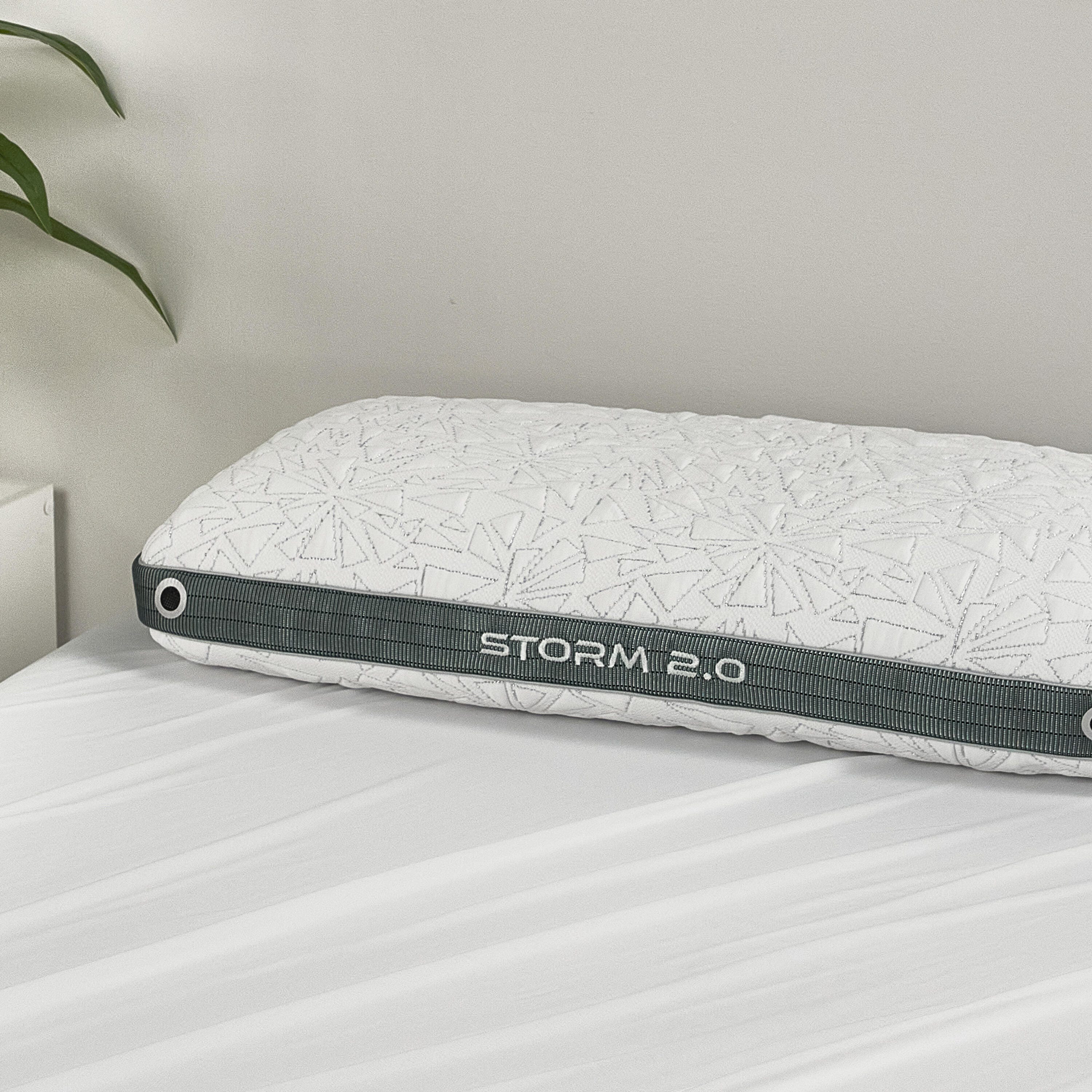 Click here for BEDGEAR Storm 2.0 King Pillow  White prices